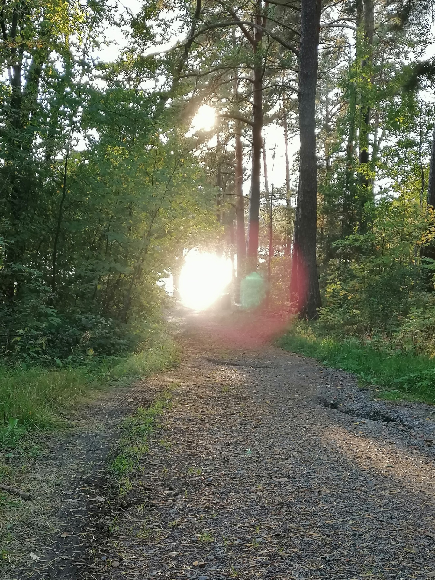 TYHY aktiviteetit :: naturalemotions